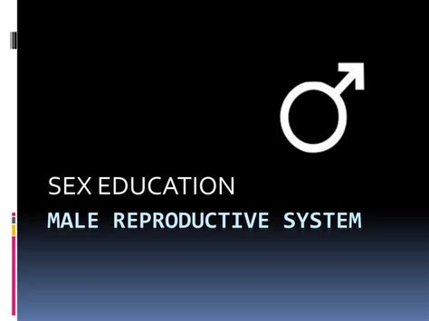 PPT Male Reproductive System PowerPoint Presentation Free Download ID