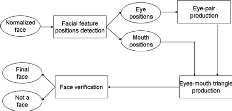 Block Diagram Of The Verification Scheme Download Scientific Diagram