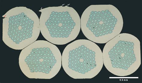 Figure 2 From Design And Development Of A 28 Ghz Nb Text 3 Sn Ecr Ion Source
