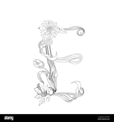Floral Font Letter E Stock Vector Image And Art Alamy