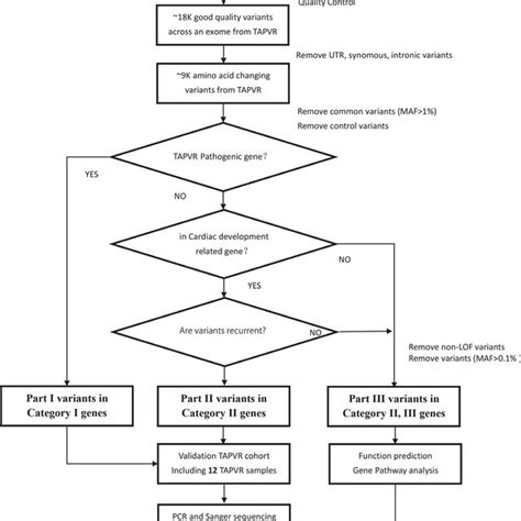 variant filtration workflow abbreviations are as follows maf minor