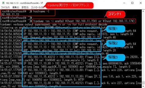 Tcpdumpをリアルタイムで閲覧する時に活用するフィルタ方法 ほそぼそ話
