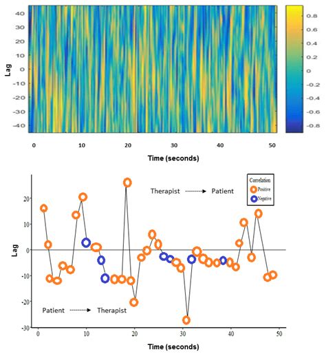 Top Output Of Windowed Cross Correlation Shown As A Correlogram Lag Download Scientific