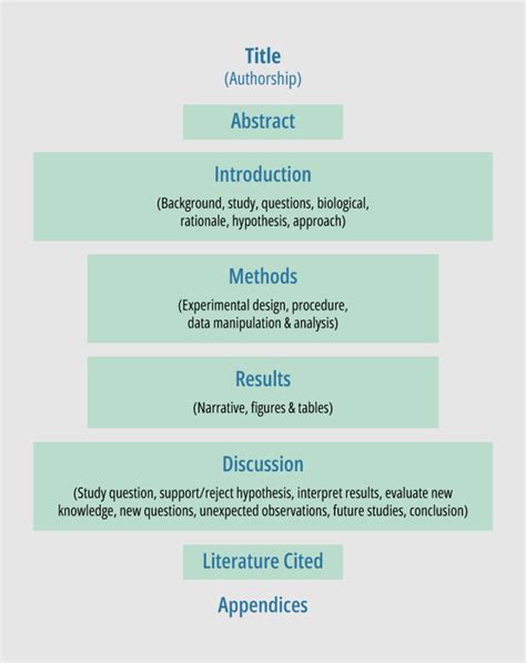 The Science Of Writing A Dive Into Scientific Report