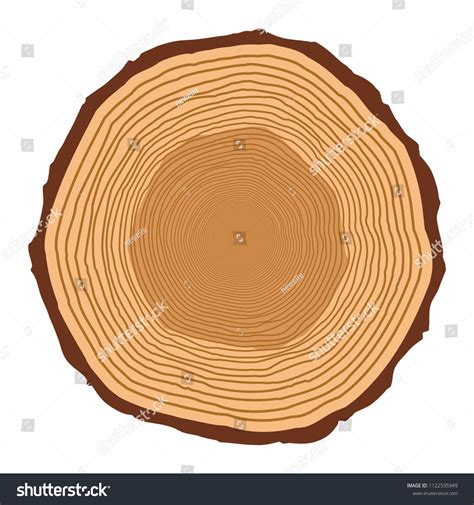 Tree Trunk Rings Design Isolated On Stock Vector Royalty Free 1122535949 Shutterstock