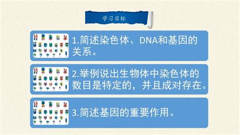 生物八年级上册第2节 性状遗传的物质基础课文课件ppt 教习网 课件下载