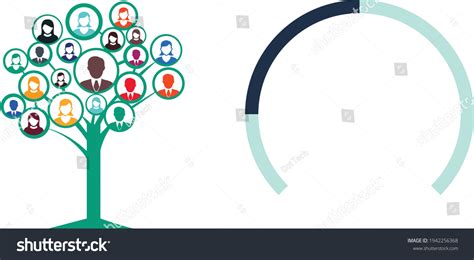infographics graphs charts data showing illustrations stock vector