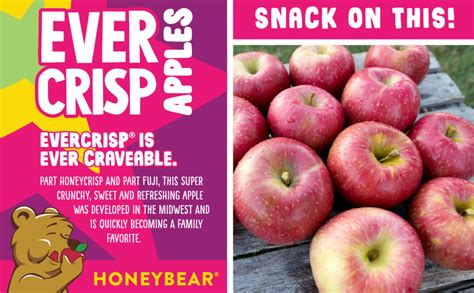 evercrisp apples are an ideal late season differentiator produce news