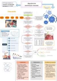 Algoritmo RCP Neonatal Docsity