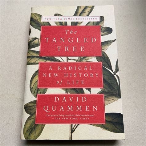 The Tangled Tree