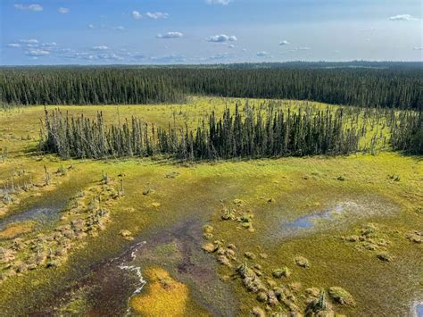Ducks Unlimited Canada National Boreal Program Understanding The