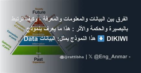 الفرق بين البيانات والمعلومات والمعرفة ، وكيف ترتبط بالبصيرة والحكمة