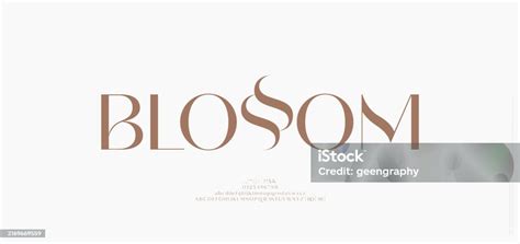 Beauty Luxury 글꼴 알파벳 로고입니다 타이포그래피 아름다운 패션 우아한 클래식 문자 세리프 이탤릭체 글꼴 장식 웨딩 빈티지 꽃 로고 벡터 일러스트 레이 션