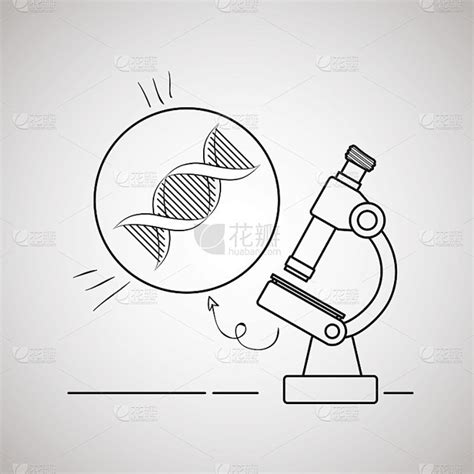 用显微镜观察dna分子