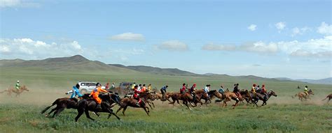 Хууль батлагдвал морин уралдааныг есөөс илүү машин дагахгүй