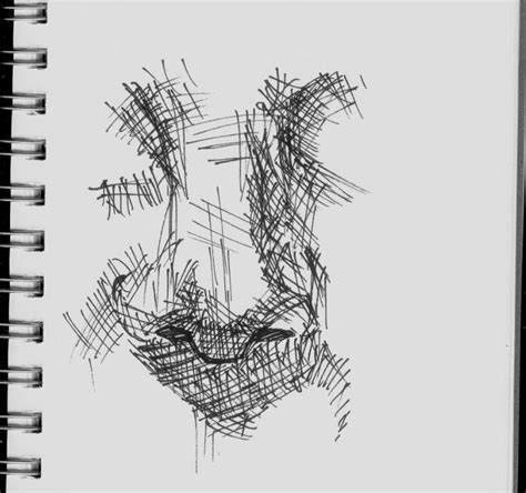 Cross Hatch Nose By Eyesidol On Deviantart