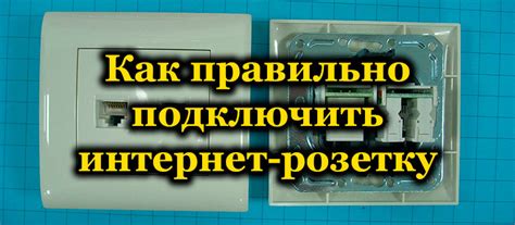 Как правильно подключить интернет-розетку дома