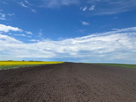 Confluence Environment Confluenceenvironment • Instagram Photos And Videos