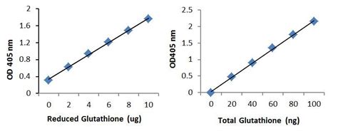 Glutathione Colorimetric Assay Kit Biovision Cellular Assays