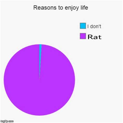 Rat Rrats
