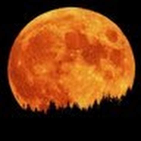 Corey Mccarthy Youtube