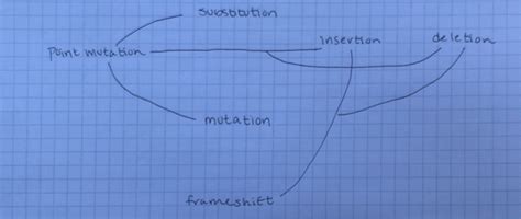 Ap Biology Unit 6 Dna Concept Map Diagram Quizlet
