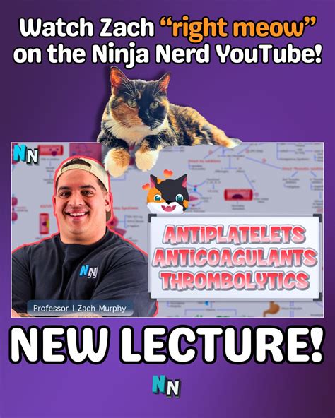 Ninja Nerd Ninja Nerd Added A New Photo