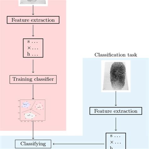 Framework For Classifying Fingerprint Images Download Scientific Diagram