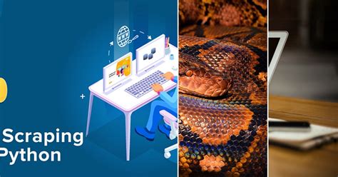 List Python Curated By Thomas Mösl Medium