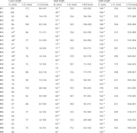 Crown Length Root Length And Tooth Length Of Patient One Download Table