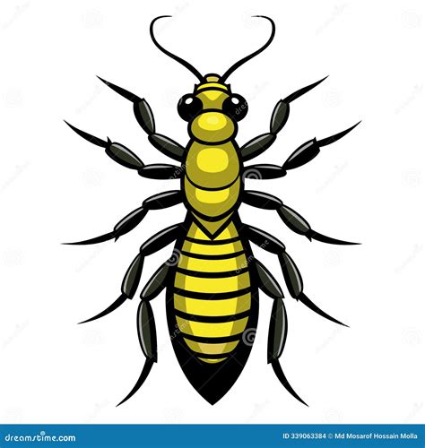 Termite Threat Vector Illustrations Of Wood Destroying Insects Royalty