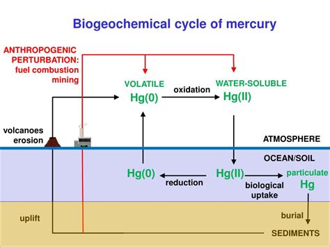 Ppt Mercury In The Global Environment Sources And Biogeochemical