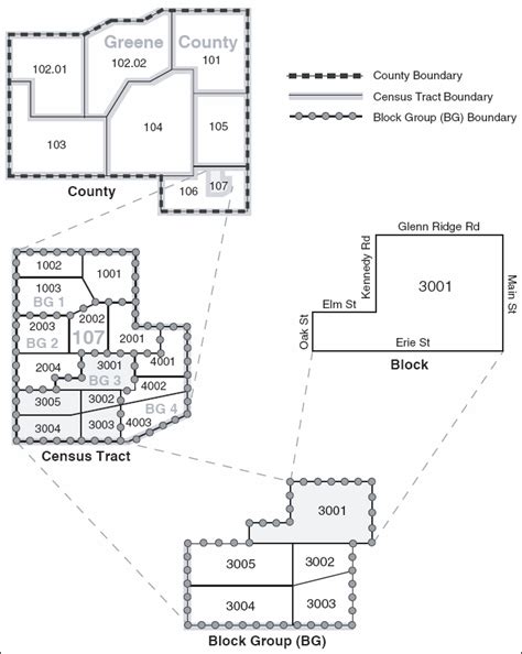 Block Group Blockgroup Demographics Census 2020 Census 2010