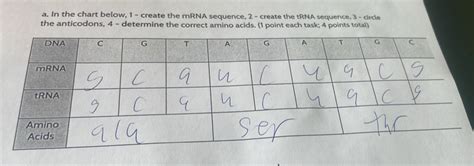 Solved A In The Chart Below 1 Create The Mrna Sequence 2 Create