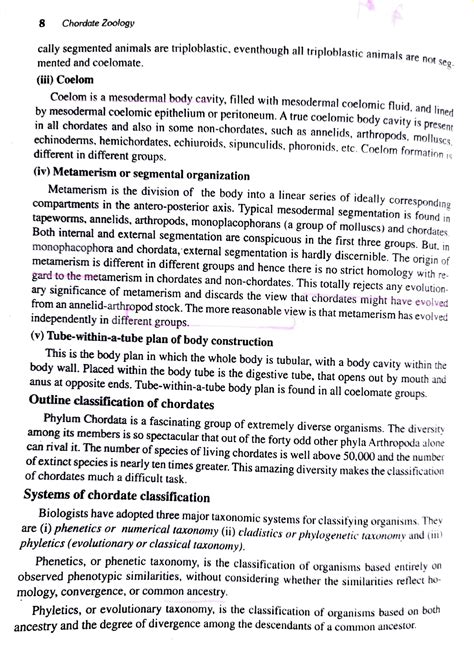 Classification Of Chordates 8 Chordate Zoology Seg Ot Cally Segmented
