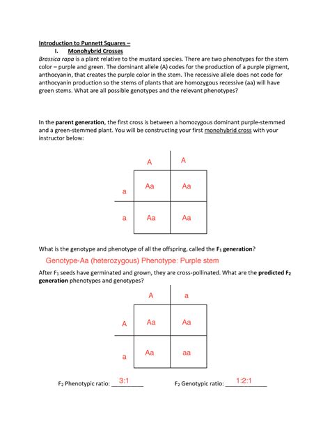 Monohybrid Worksheet Part BIOL CTC Studocu Worksheets Library