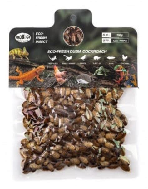 Pro Bugs Dubia Cockroach Bulk Pack Rogers Aquatics And Pet Supplies