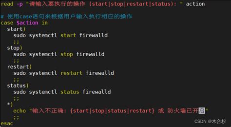 shell条件测试和循环语句 shell命令 while true循环检测 csdn博客