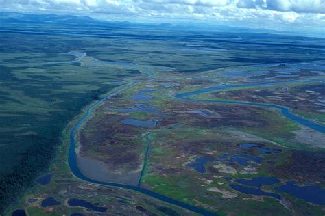 Nile River Delta Landscape
