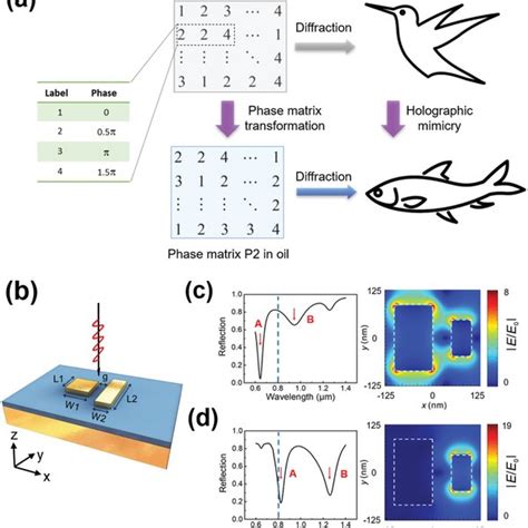 Phase Matrix Transformation Method And Design Of The Unit Cell A The Download Scientific