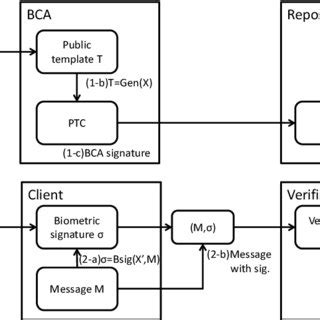 The Procedures Of PBI Download Scientific Diagram