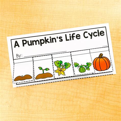 Pumpkin Life Cycle Activities For Kindergarten Katie Roltgen Teaching