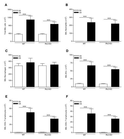 Effect Of Chronic 24 Weeks Cigarette Smoke Cs Exposure And Ptx3 Download Scientific Diagram