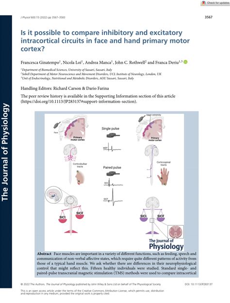 Pdf Is It Possible To Compare Inhibitory And Excitatory Intracortical Circuits In Face And