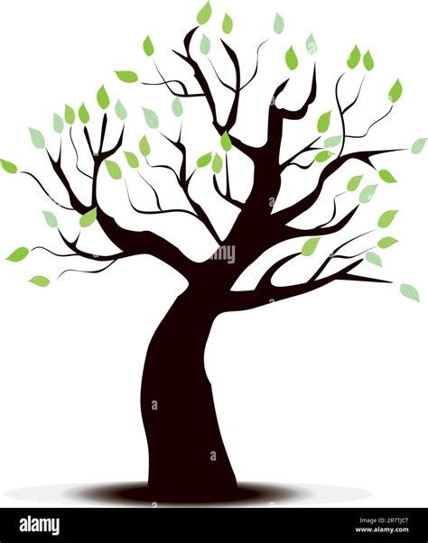 Vector Illustration Of A Tree Stock Vector Image And Art Alamy