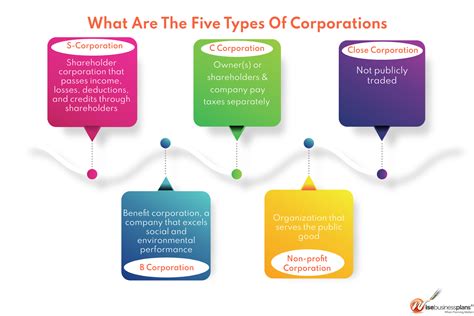 Types Of Corporations Find The Right Option For Your Startup