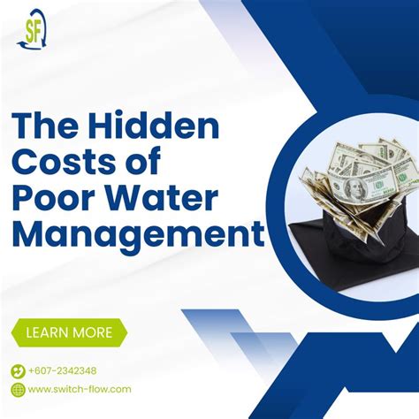 Switch Flow Resources Sdn Bhd On Linkedin Hiddencosts Watermanagement Efficiencyinwater
