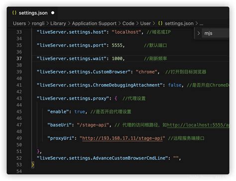 本地vs Code 插件 模拟服务器环境调试前端包live Server 运行dist包并解决接口跨域问题vs前端解决跨域问题插件