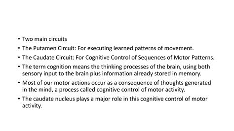 Cerebrum Motor And Sensory Cortex Basal Gangliapptx