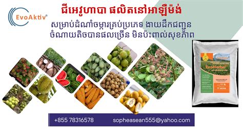 ស្ករងូរសុទ្ធ១០០ 🎁📢តើពុកម៉ែបងប្អូនកំពុងស្វែងរកដីដែលមានតំលៃសមរម្យ